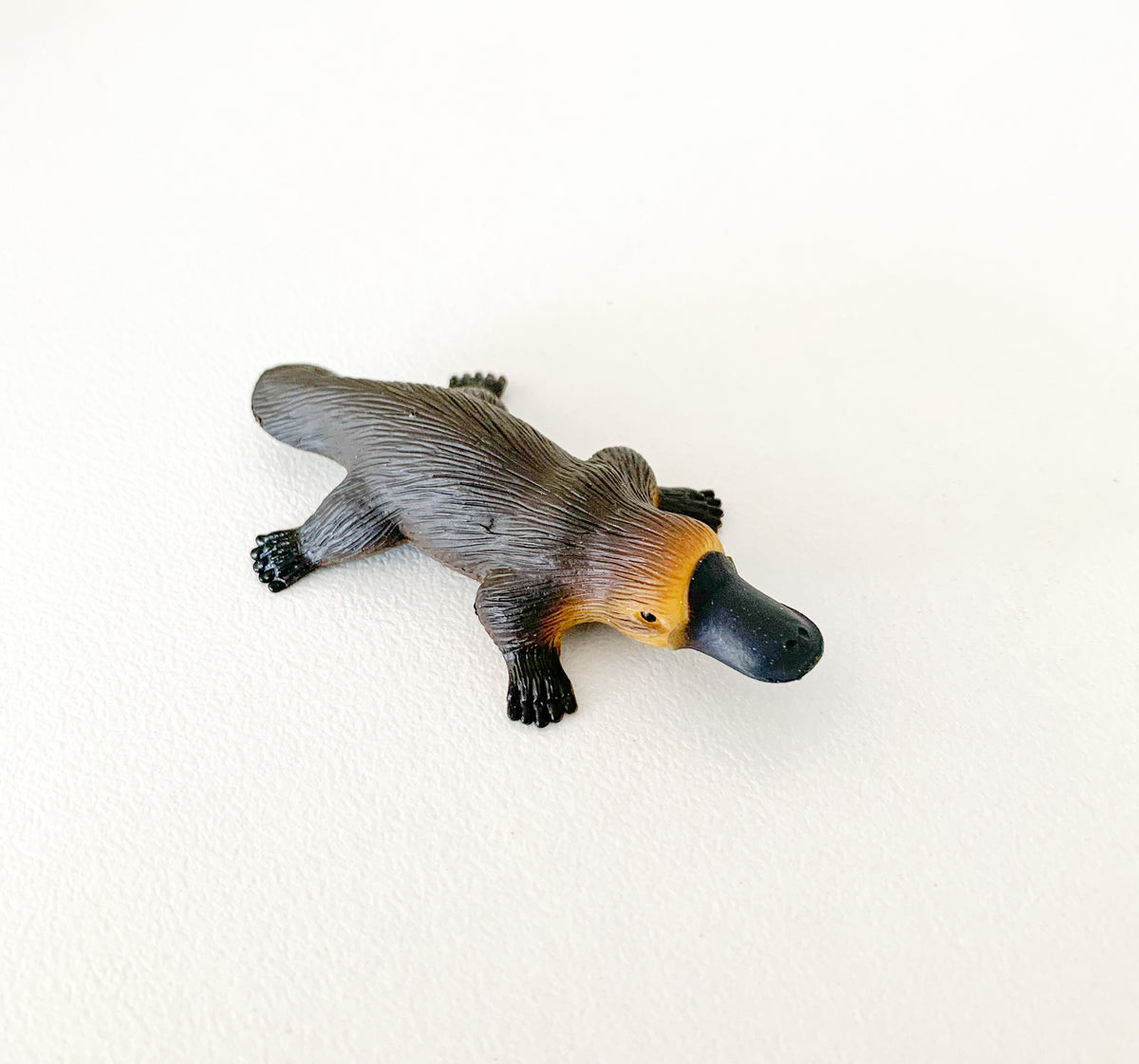 SCIENCE AND NATURE - Small Platypus – Play with Elorias